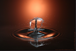 3 Masters Of Water Drop Photography – Markus Reugels, Martin Waugh ...