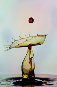 3 Masters Of Water Drop Photography – Markus Reugels, Martin Waugh ...
